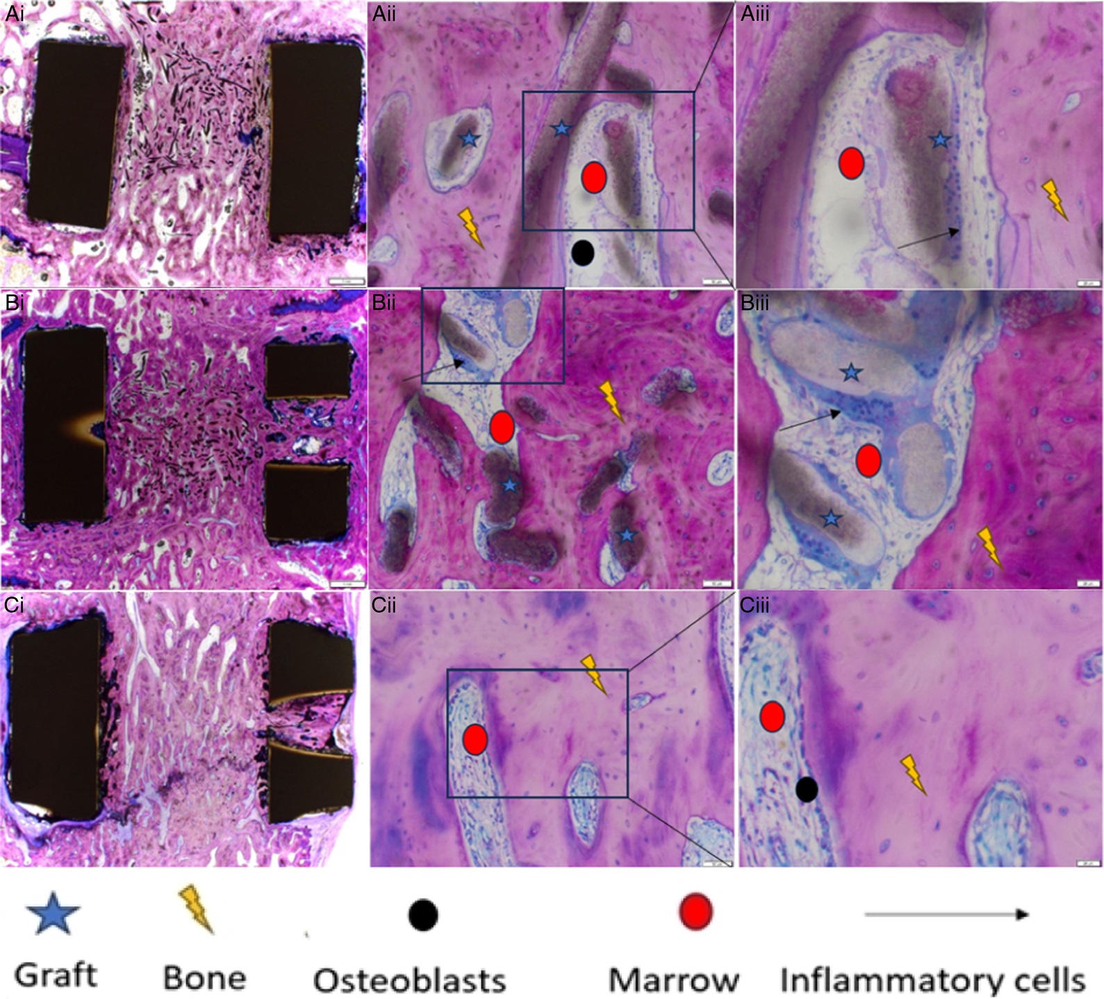 Update | Theradaptive Announces Peer-Reviewed Publication of ...